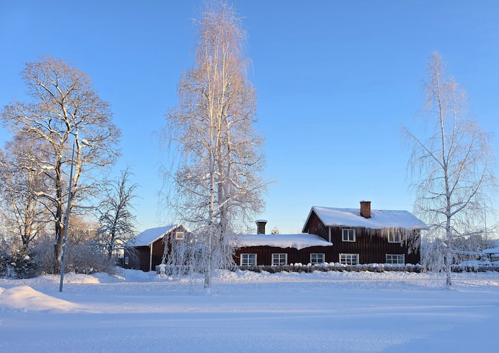 Rommeblomman - Borlänge