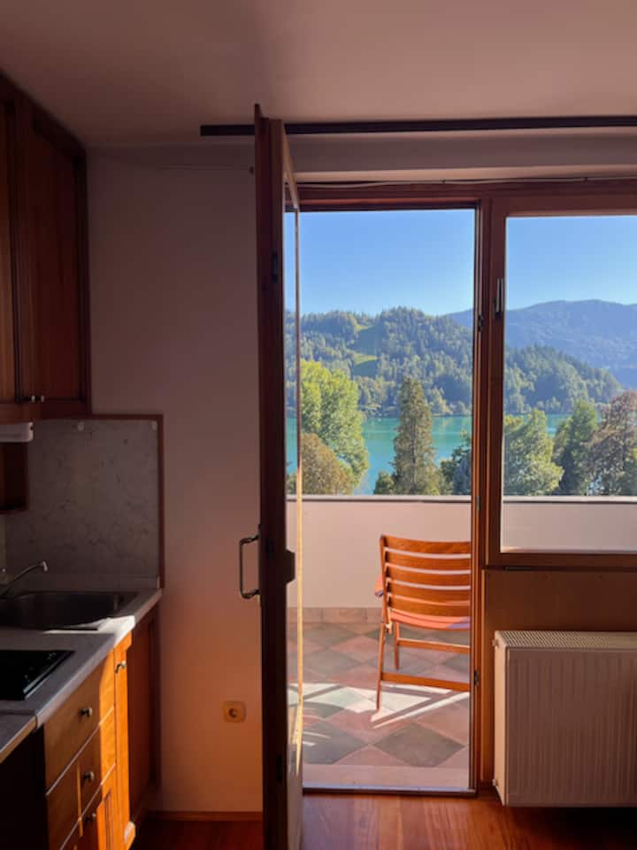 Swan Rhapsody - Bled