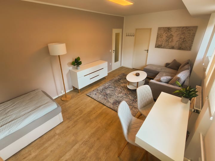 Vollmöbelierte 1 Zimmerwohnung In Bad Soden A. Ts - Frankfurt