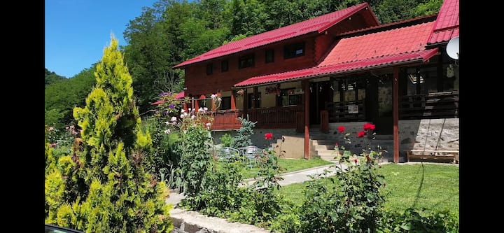 Casa Unde Uiți De Griji. Doar Natura… - Brad