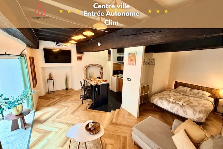 * La Belle Comédie * Centre Ville - Véranda - Clim - Montauban