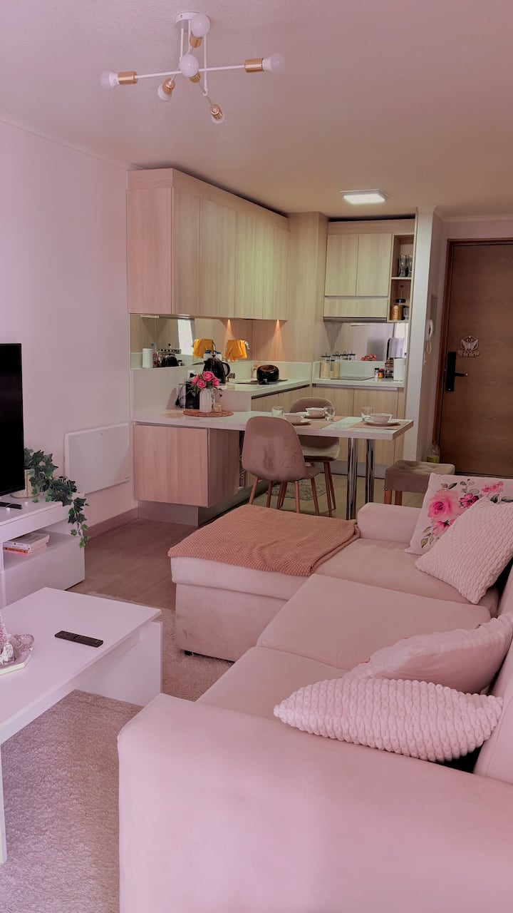 Dpto. 1d 1b Centro De Temuco, Totalmente Equipado - Chili