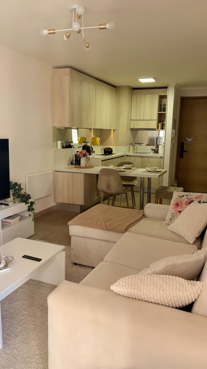 Dpto. 1d 1b Centro De Temuco, Totalmente Equipado - Chile