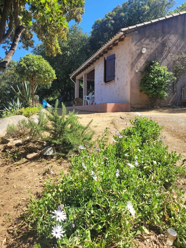 Casa Di L'aquilone Rossu - Zonza