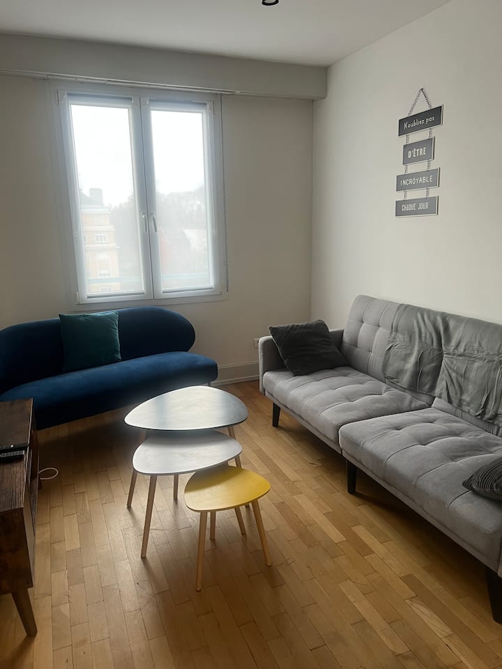 Le Tassigny Spacieux Appartement Pour 6 Personnes - Belfort