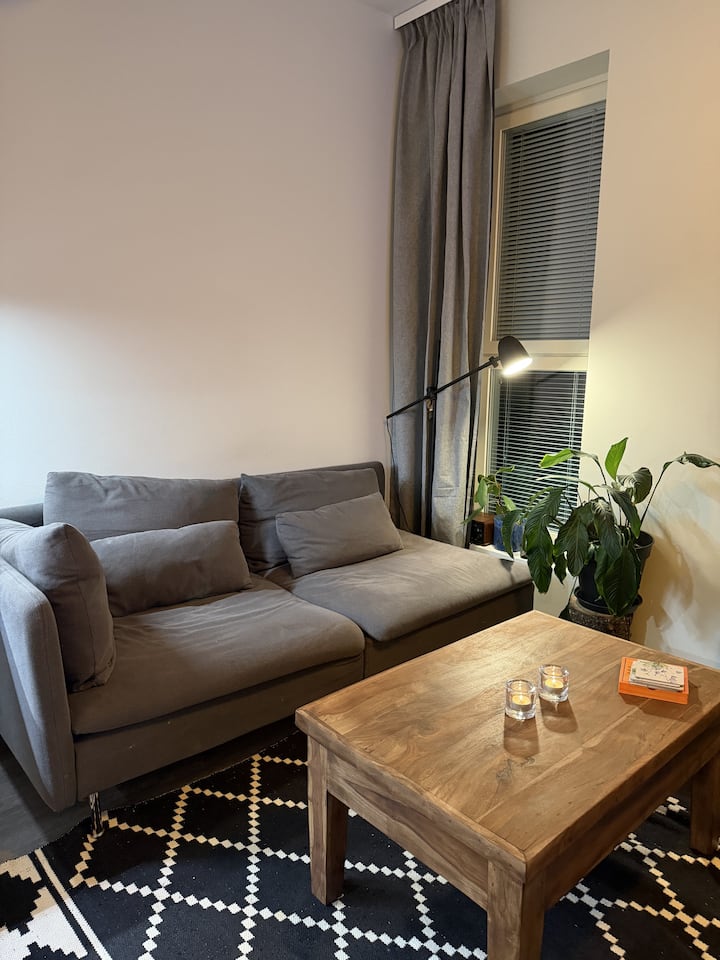 Tilava Mukava Rento Yksiö Hervantajärvellä - Tampere