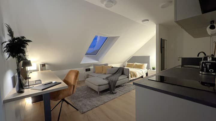 ÜBer Den Dächer Der Altstadt - Erlangen