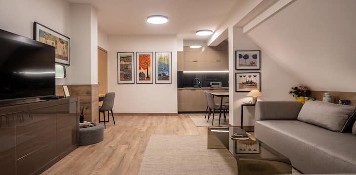 Apartment Viii - Spacious Loft W/ Free Parking - Sofia
