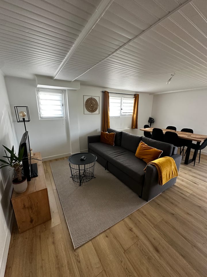 Bel Appartement Avec Jardin(10mn Aéroport Et Gare) - Saint-Quentin-Fallavier