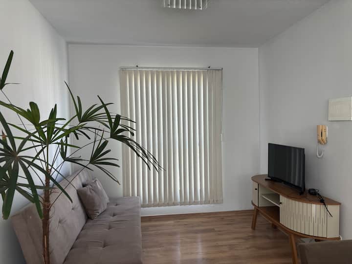 Repouso Aeroporto Cwb C/ Garagem E Saída àS Br’s - São José dos Pinhais