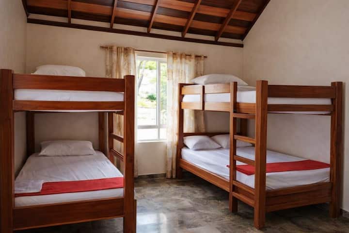 Cocoval Coco+valle, Esencia Pura Del Lugar - Bahía Solano