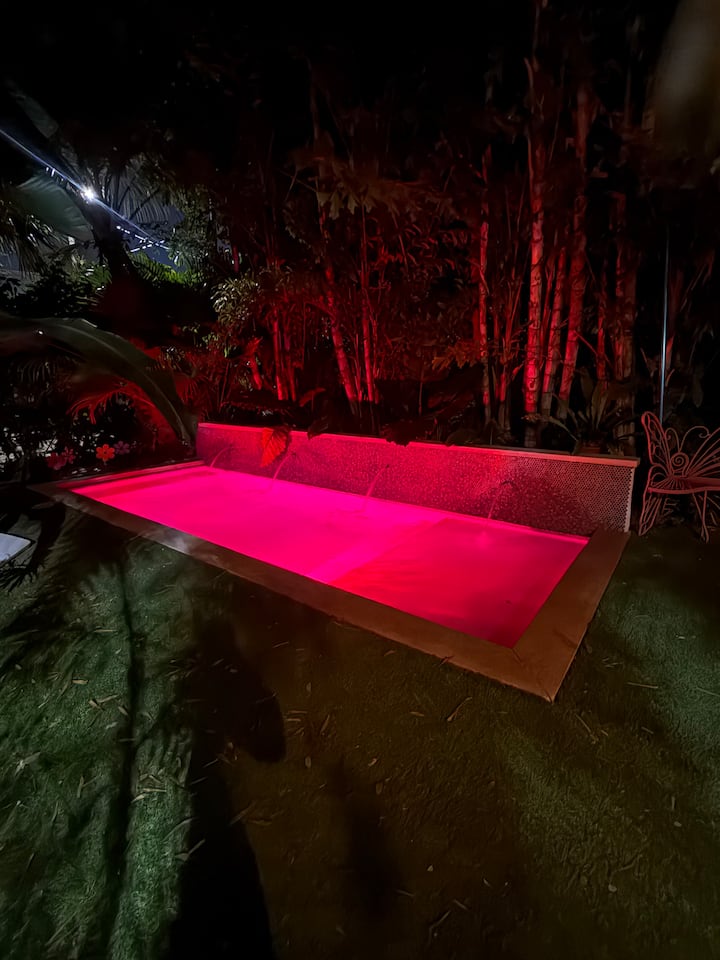 Tropical Backyard Casita W/ Pool & Outdoor Living - Miami, FL