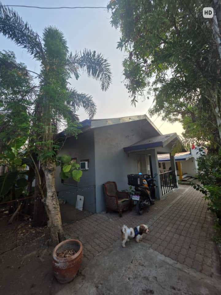Whole House Near Beach | Wifi | Pet-friendly - Bauang