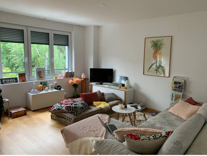Brand New Furnished Apartment - Clean Hotel Style - Bázel