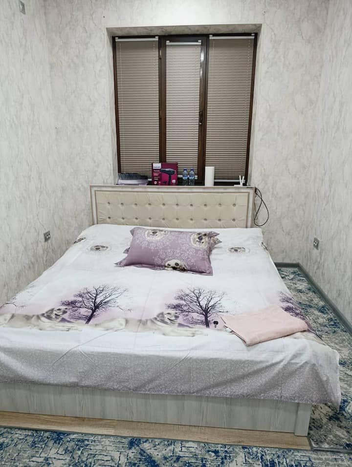 Cozy Places For 2 Person
So Close To Airport - Tashkent