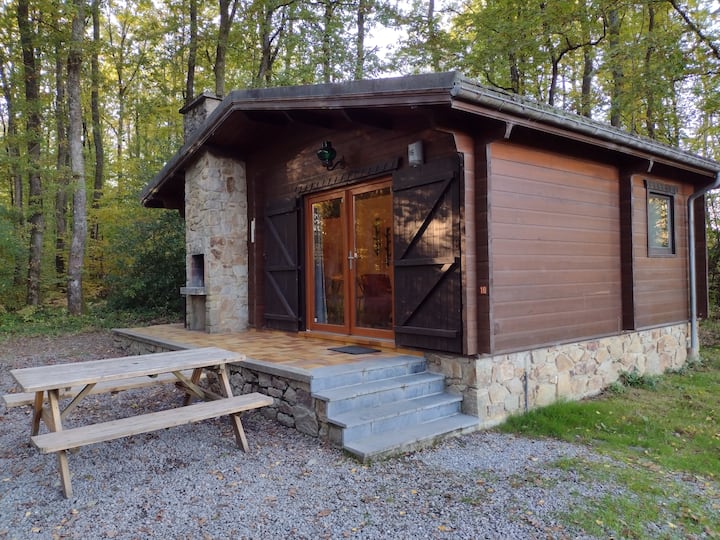 Cabana 16 - Viroinval