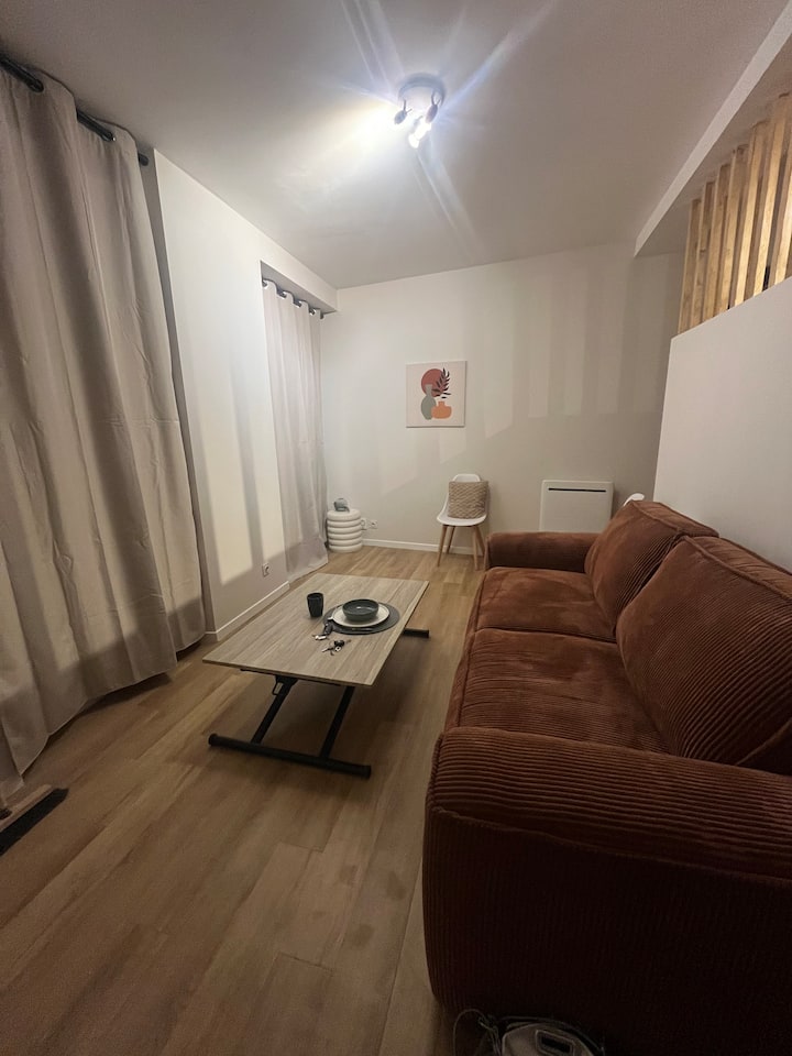 Logement Situé Au Cœur Du Centre-ville De Pau - Pau