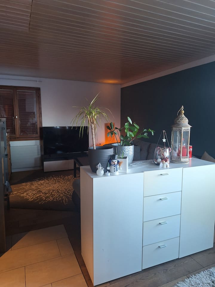 Idyllisches Wohnen Direkt An Der Skipiste - Stoos