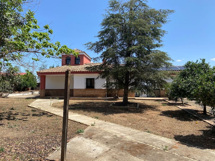 Ananda Experience - Sanlúcar la Mayor