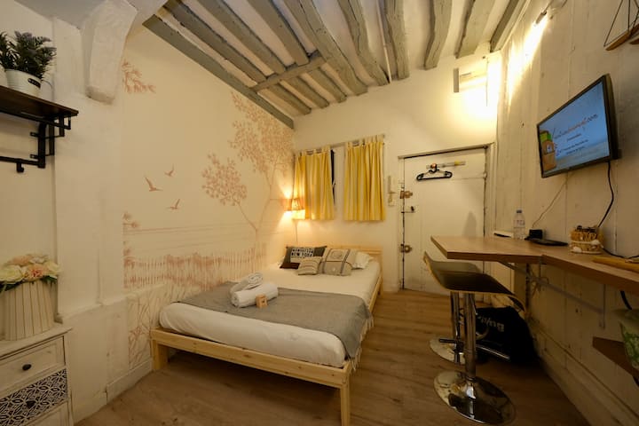 Rouen - Petit Studio, Hyper Centre - Rouen