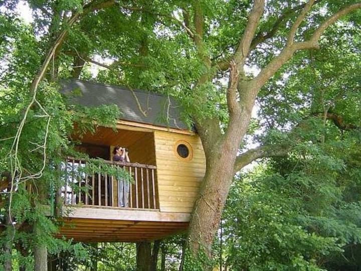 Cabane Aux Secrets - Marne