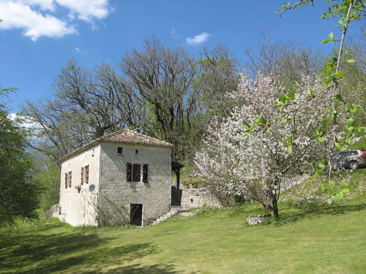 Farmhouse Lafage - Montcuq