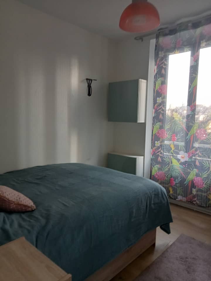 Appartement Cosy Et Fonctionnel - Malakoff