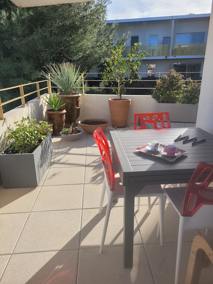 Superbe Appartement Avec Très Grande Terrasse - Castelnau-le-Lez
