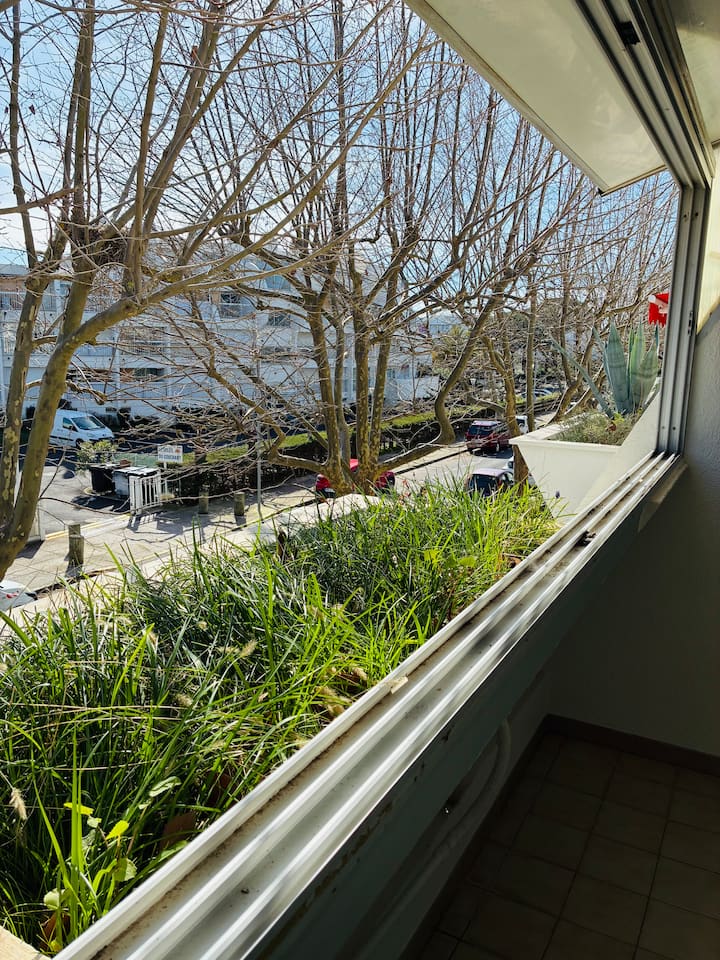 2 Pièces, Parking, Accès Plage, Proche Commerce - La Grande-Motte