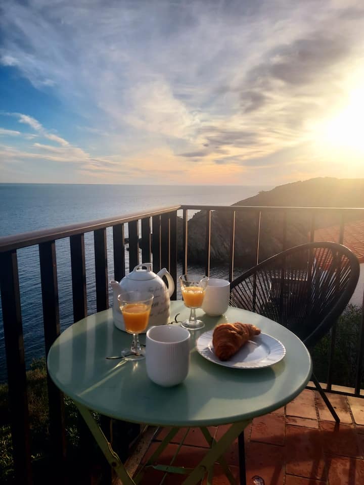 Maison Vue Mer Les Pieds Dans L'eau - Cerbère