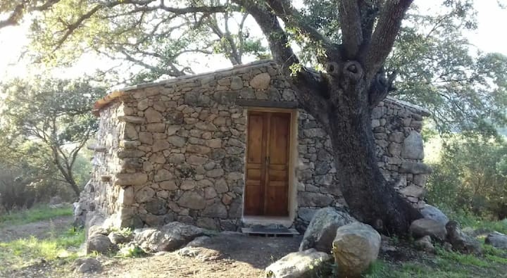 Chambre D'hôte Familiale Au Milieu Des Oliviers - Sartène