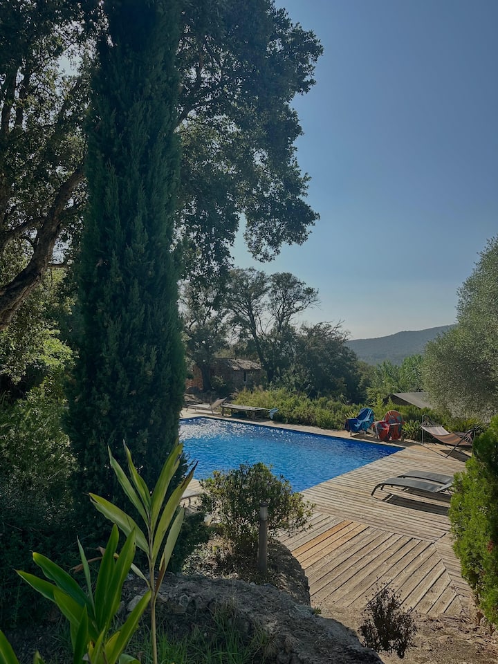 Chambre D'hôte En Corse Au Milieu Des Oliviers - Sartène