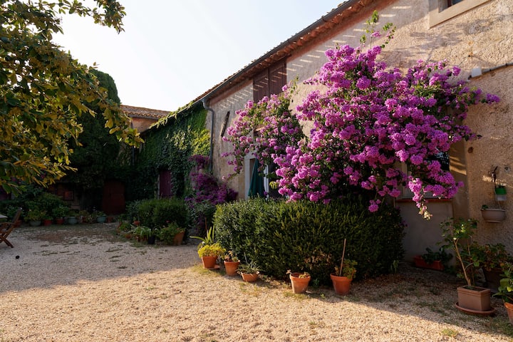 Studio Au Coeur De Notre Vignoble En Ab - Aude