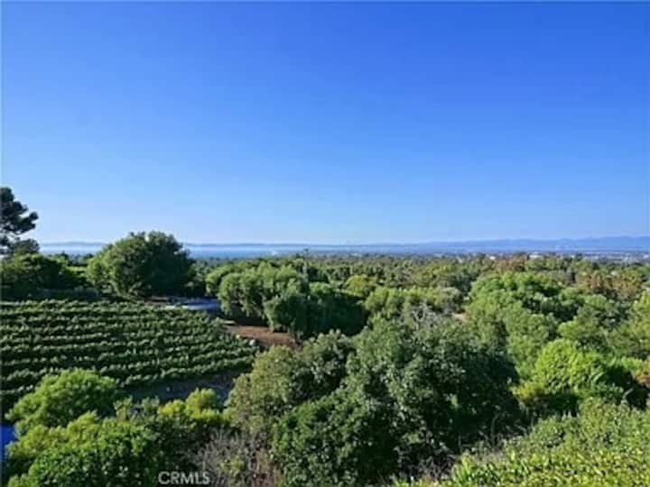 Coastal/vineyard View Guesthouse - 托倫斯