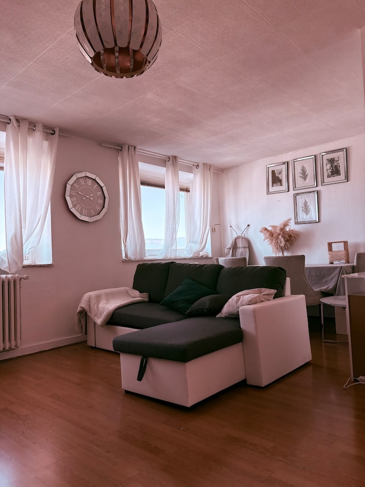 𝓖𝓾𝓲𝓬𝓱𝓪𝓻𝓭, 2 Chambres Au Calme Avec Parking - Andrézieux-Bouthéon