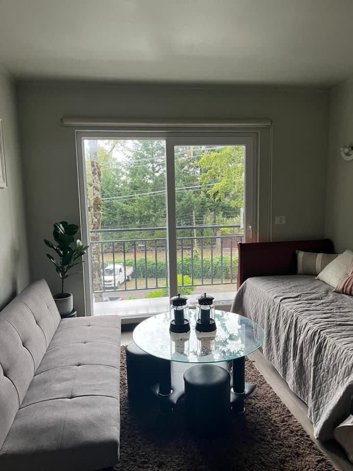 Cómodo Depto. En Camino Al Volcán Con Wifi - Pucón