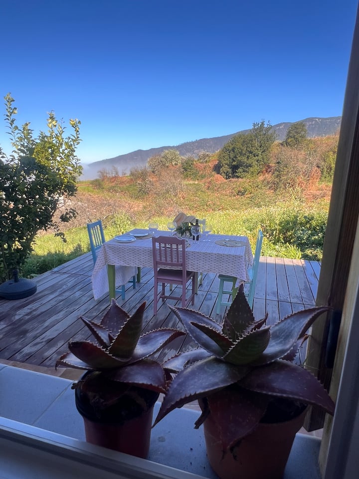 Casa Rural La Reineta - La Orotava