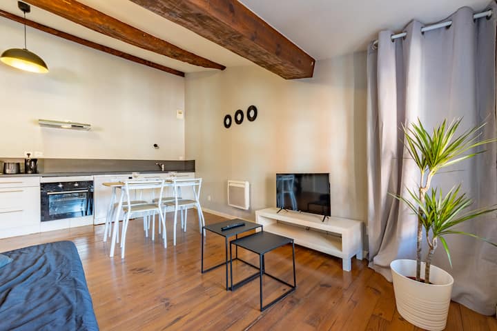 Le Fort Hypercentre Calme Proche Place Nationale - Montauban