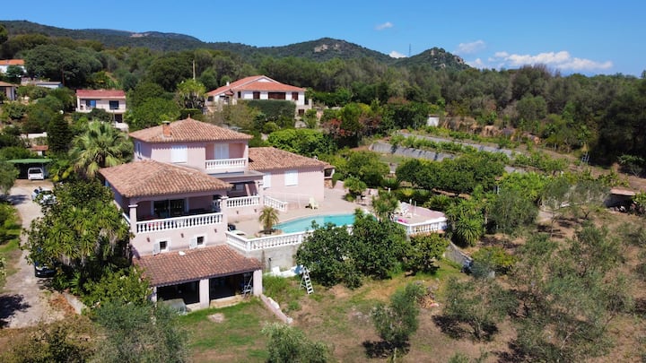 Villa Piscine Au Calme – Centre Ajaccio - Ajaccio