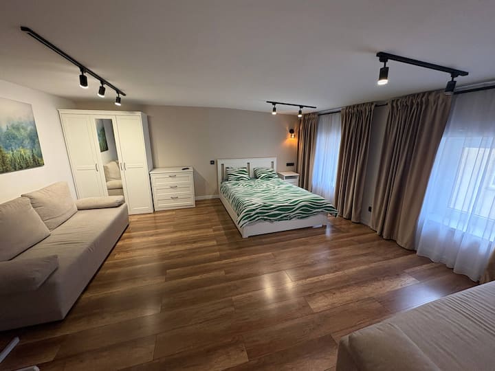 Mieszkanie Na Plebiscytowa - Katowice