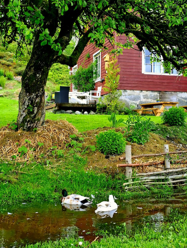Idyllisk Gårdsvilla Ved Fjord Og Fjell - Norway