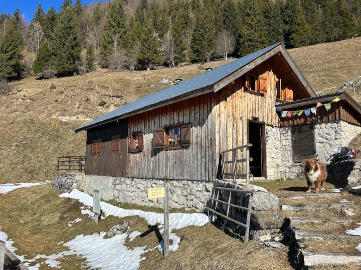 Chalet D’alpage Situé à 1250 M D’altitude - Évian-les-Bains