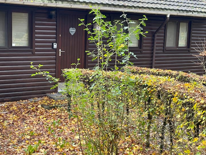 Rust & Natuur In Het Hart Van De Ardennen. - La Roche-en-Ardenne
