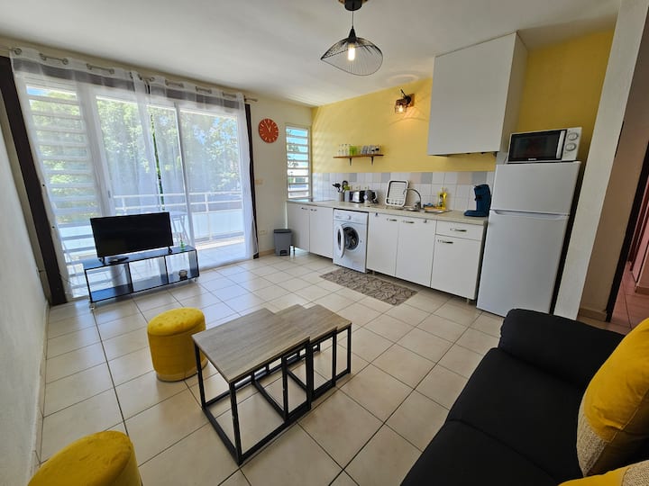 T2 Lumineux, Spacieux - French Guiana