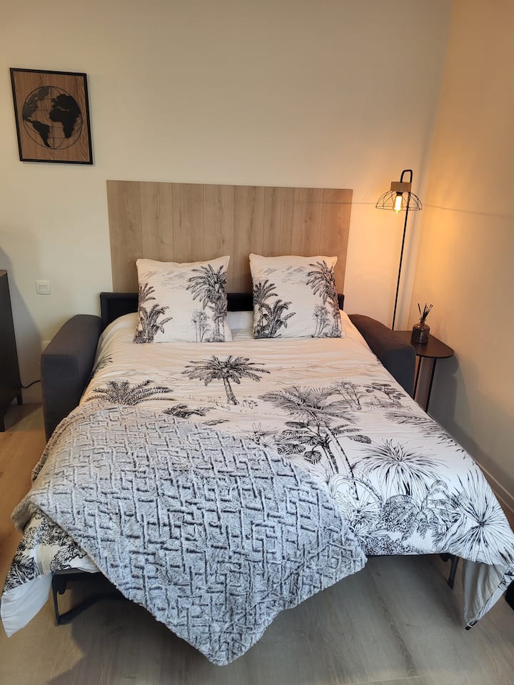 Lumineux Cosy Terrasse Parking - Tarbes