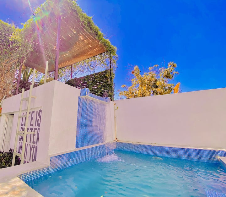 King W/ Terrace, Perro Surfero, Todos Santos, Bcs - Todos Santos