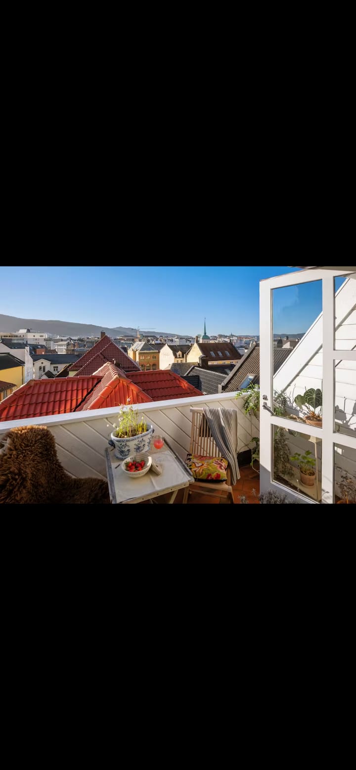 Cozy Historic Townhouse W/ Rooftop Terrace - Bergen, Norway