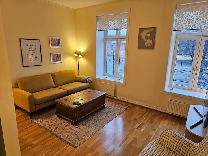 Leilighet Med 2 Soverom Og Stue Midt I Sentrum - Oslo