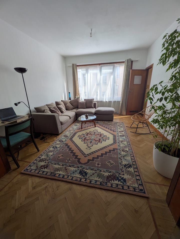 Lumineux Appartement - Uccle