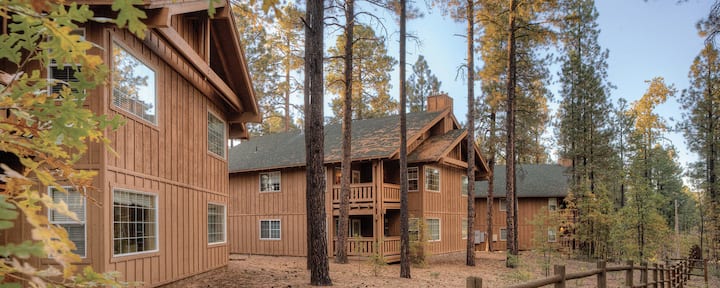 Pinetop 1 Bedroom - Pinetop-Lakeside, AZ